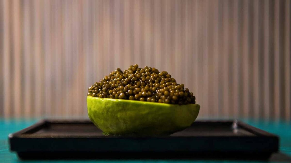 At ZZ’s Club in Miami, Throw Caution to the Wind | Lifestyle Media Group