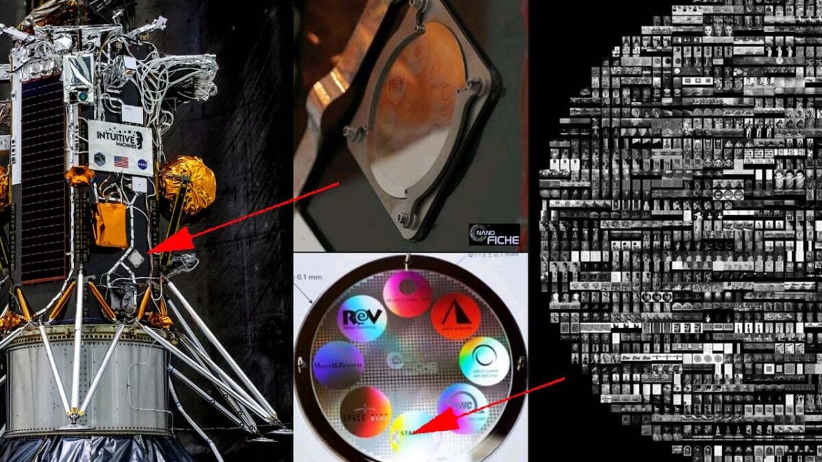 South Florida Artist Lisa Botto Lee’s Artwork Launches Into Space With ...